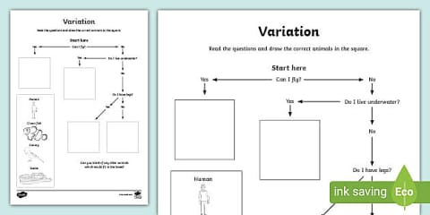 Types of Variation Data Worksheet