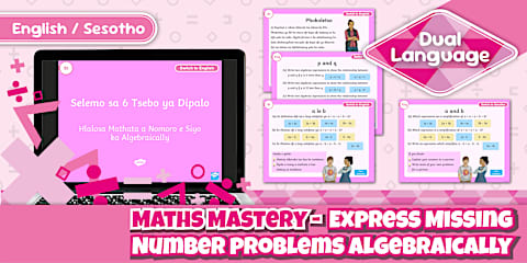 Grade 7 Maths - Term 3 - Numeric Patterns with Fractions Activity Sheet ...
