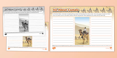 KS2 Camel Fact File
