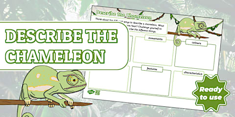 Parts of a Chameleon Labelling Activity