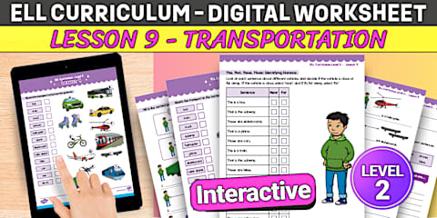 ELL Curriculum: Level 4, Lesson 11 How Many Are There? Worksheet