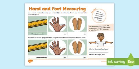 Measuring in Body Parts Worksheet