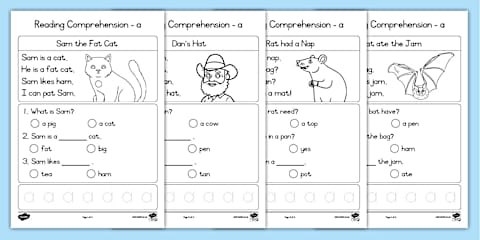 My Cat Craft and Write -at Word Family Activity for K-1st Grade