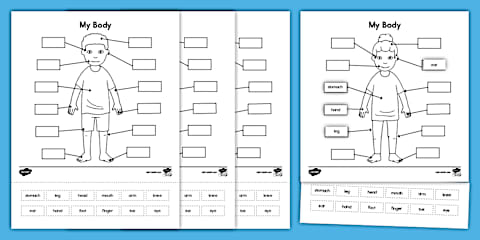 My Body Cut and Paste Worksheet