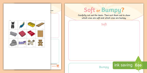 Rough and Smooth Photo Sorting Activity