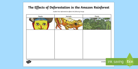 Effects of Deforestation Mind Map