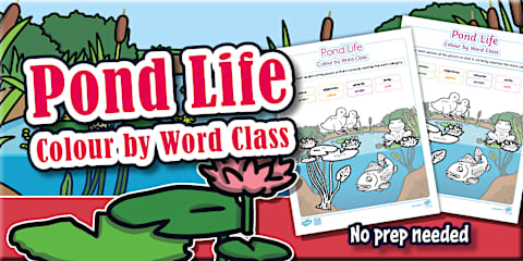 Fish Life Stages Hexagon Display Colouring Activity