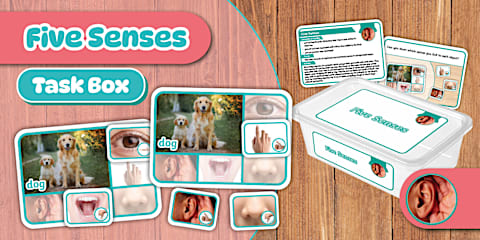 Five Senses Activity Sheet