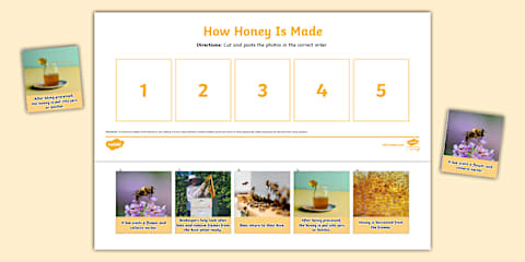 How Bees Make Honey