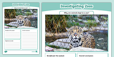 Design a Zoo Worksheet