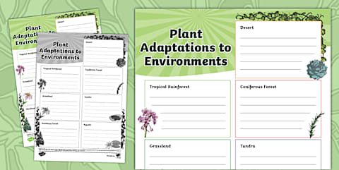 Plant Adaptations Mind Map