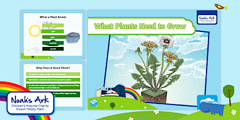 Plant Needs PowerPoint & Google Slides for 3rd-5th Grade