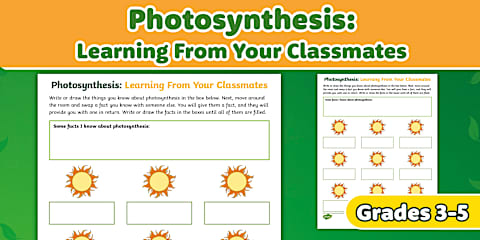 Visual Thinking: Photosynthesis Zoom In PowerPoint & Google Slides for ...