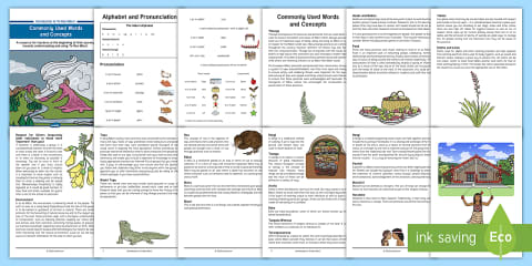 Introduction to Te Reo Māori: Body and Clothing Vocabulary Booklet