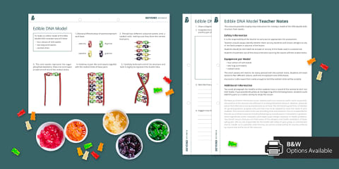DNA Simple Diagram Activity Sheet - Biology - Beyond