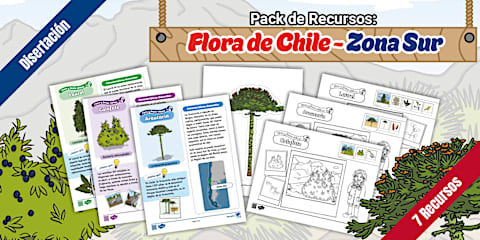 Disertación: Fauna - Zona Sur