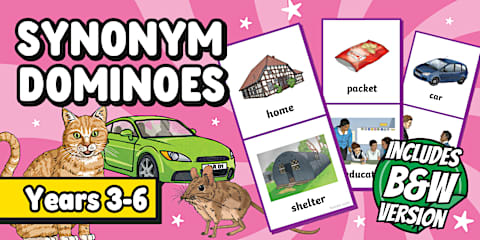 Synonym and Antonym Gameshow