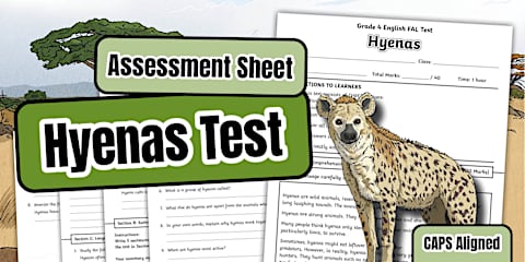 Grade 4 English FAL – Term 3 – The Tall Giraffe Test – Assessment Sheet ...