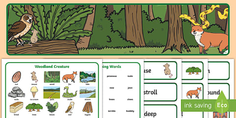 Speech Bubble Writing Template Printables - EYLF - Displays