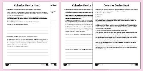 Cohesion Across Paragraphs Application Worksheet