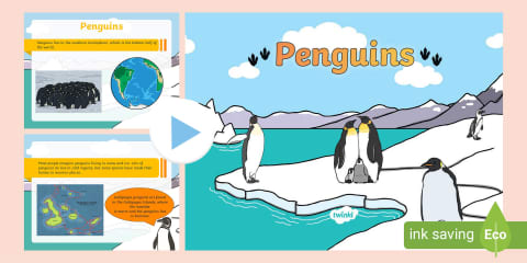 KS1 Penguins Around the World PowerPoint