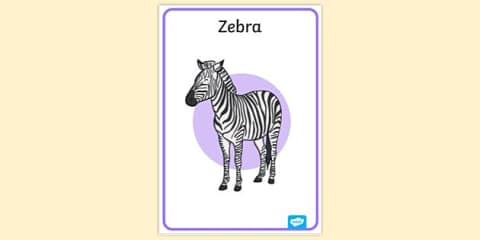 Zebra Cut-Outs