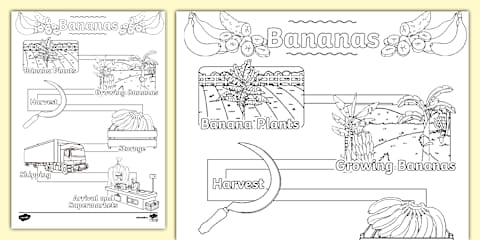 The Story of the Banana Reading Comprehension Differentiated Worksheet