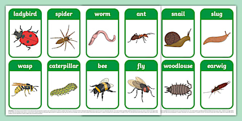 Scottish Botanical-Themed Editable Wildlife Group Names