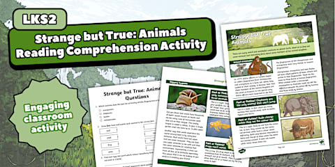 Science: Animals Including Humans: Year 4 Tiered Vocabulary Posters