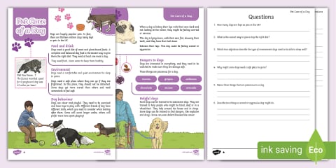 KS2 Pet Care Reading Comprehensions Pack