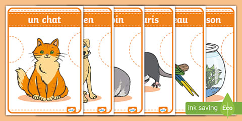 Pets PowerPoint English/French