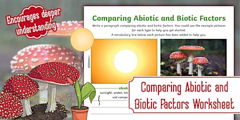 Abiotic and Biotic Factors PowerPoint & Google Slides for 6th-8th Grade