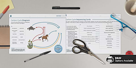 Carbon Cycle Cut and Paste Worksheet