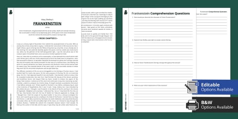 19th Century Literature KS3 Reading Comprehension Bundle