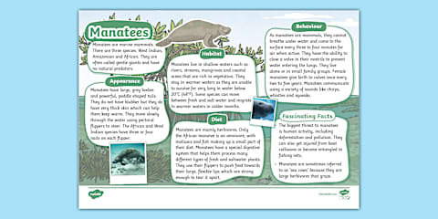 Mythology of Mermaids Differentiated Fact Files