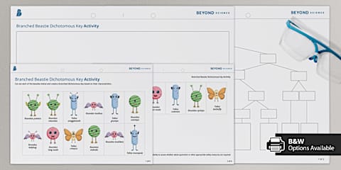 What is a Dichotomous Key?