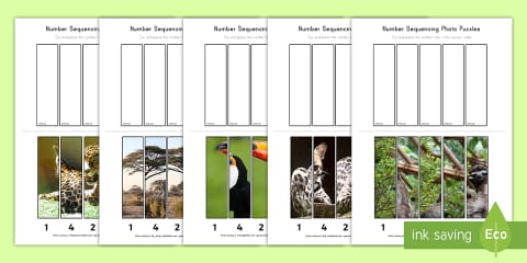 Rainforest Animals Counting to 9 Clip Cards