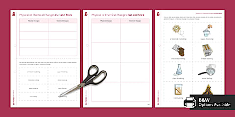 Physical and Chemical Changes NZ STEAM Sorting Activity