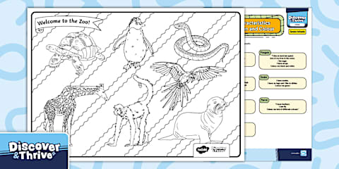 STEM (Living Things) Zoo Animal Characteristics Who Am I? Listen and ...