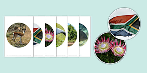Sunflower Circle Display Photo Cut-Outs