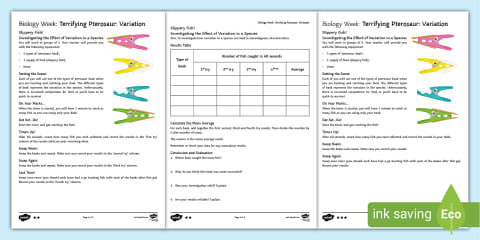 Variation Worksheet - Interactive