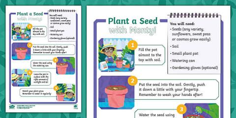 Sequencing Vocabulary Cards