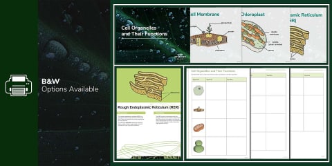 Cell Organelles Lesson Pack for 6th-8th Grade