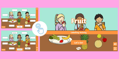Healthy Eating Plate Interactive Sorting Activity