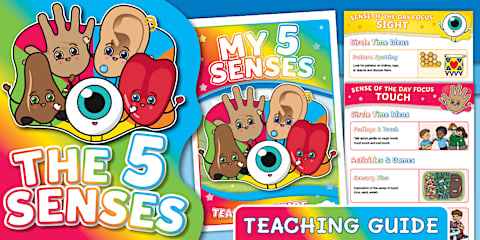 Our Senses - Sight