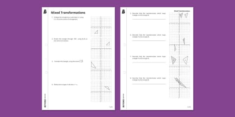 Transformations of 2D Shapes Activity