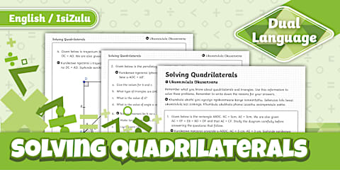 Grade 7 Maths - Term 1 - Geometry of Straight Lines Posters - IsiZulu ...