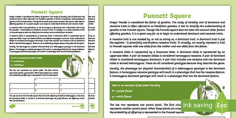 Genetics and Heredity Color by Number Challenge for 6th-8th Grade