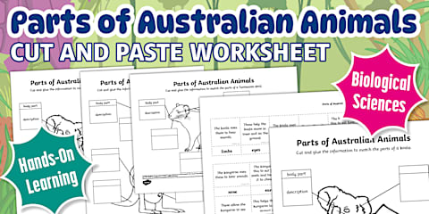 Australian Animals Shadow Matching Activity