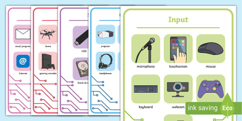Computer Input and Output Interactive Sorting Game